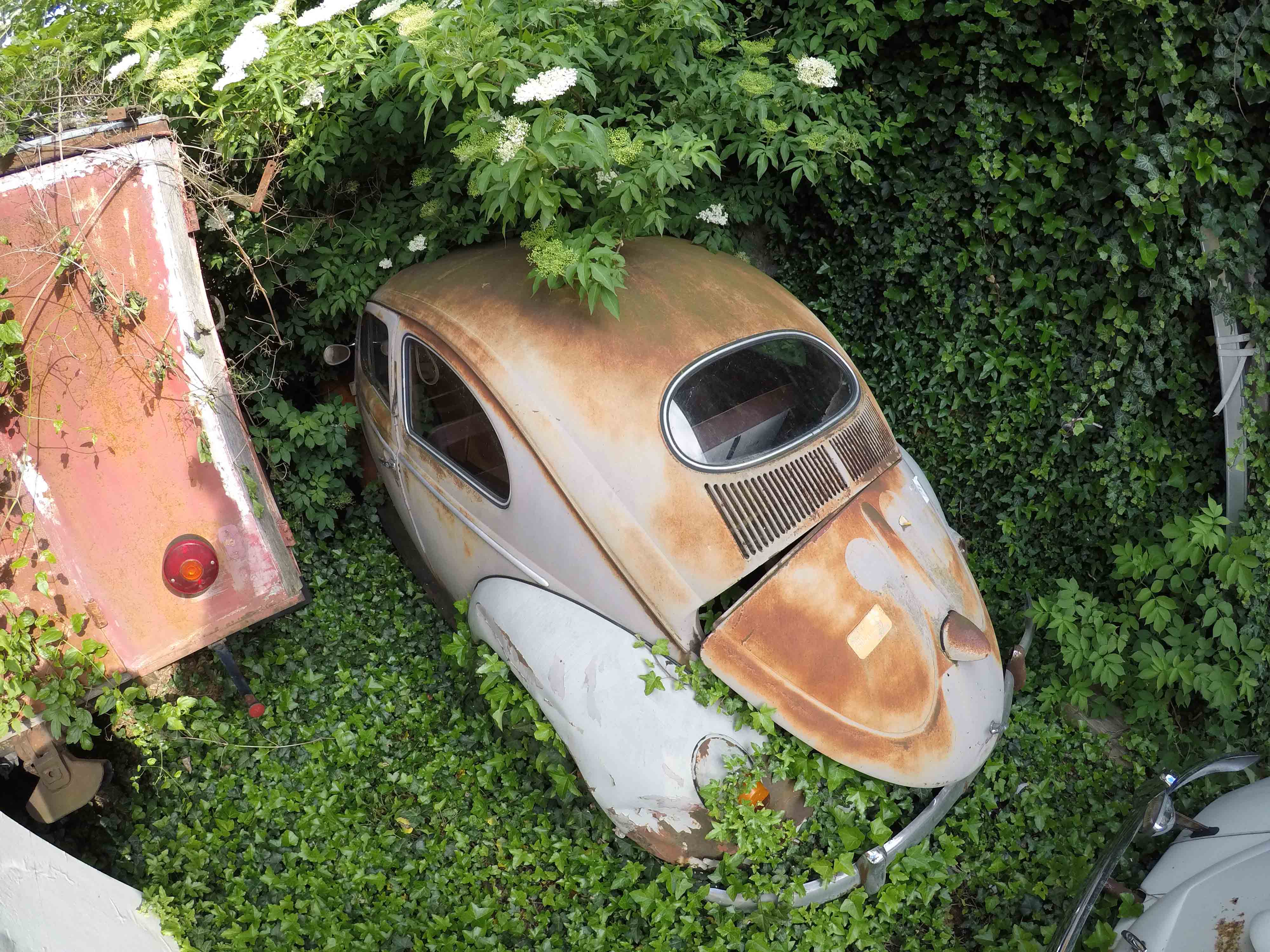 Submit your VW barn find! – AustroSplit