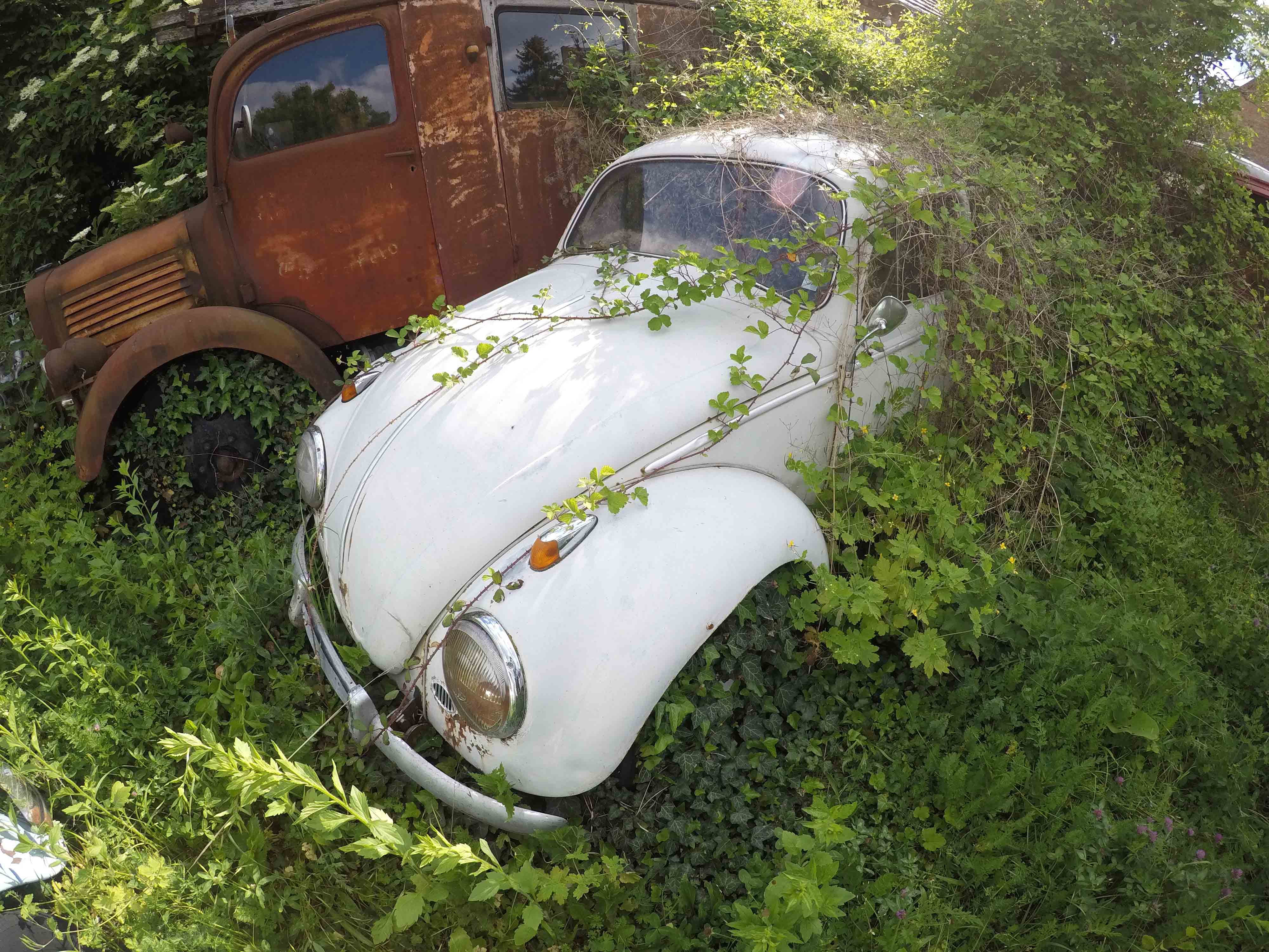 Submit your VW barn find! – AustroSplit